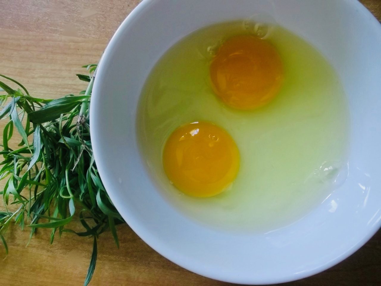 The Health Benefits of Saturated Fat - Kathryn Matthews